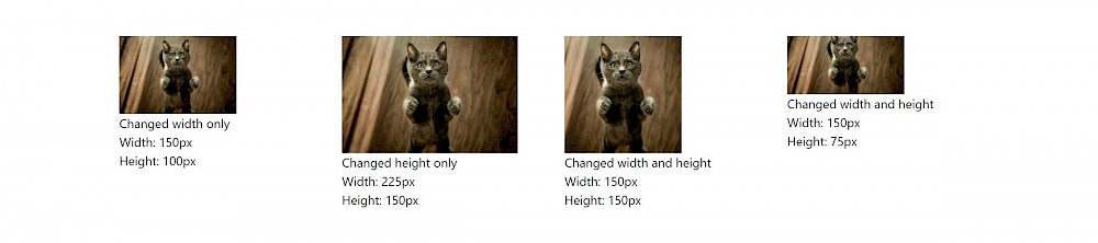 Default image settings and new focus crop