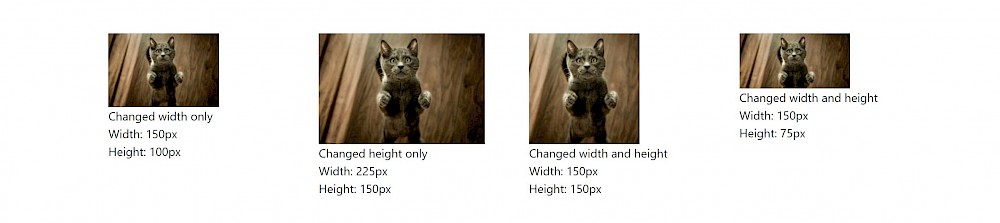 Default image settings and new focus crop